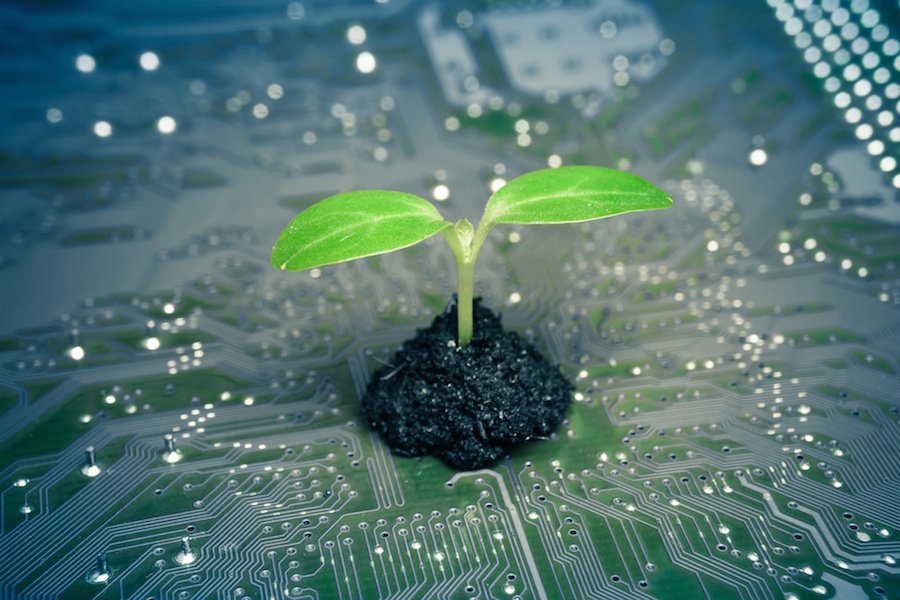What's new in digital transformation? How about digital sustainability ...