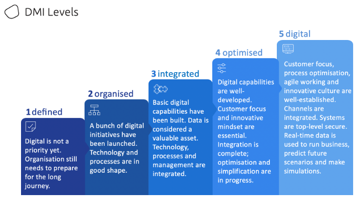 Digital Maturity Explained: All About Business Performance - The ...