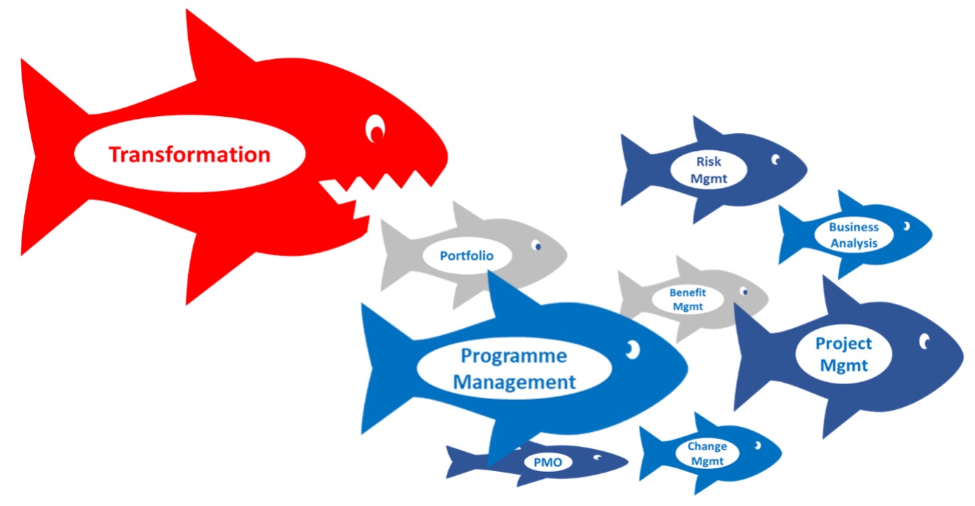 Transformation – The Definition, The Scope & The Capability - The ...